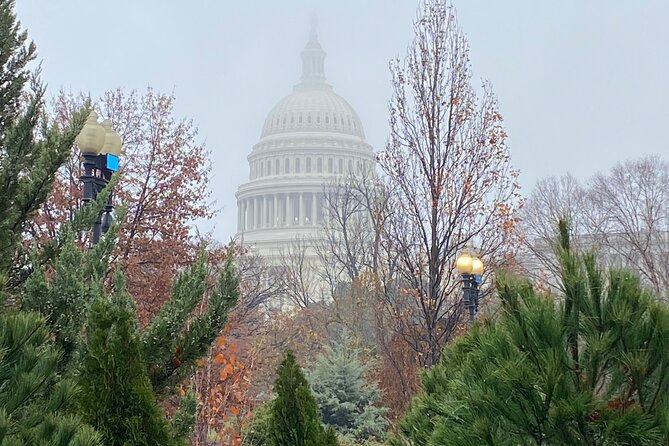 Beyond the Closet Walking Tour - The Experience: What You Can Expect