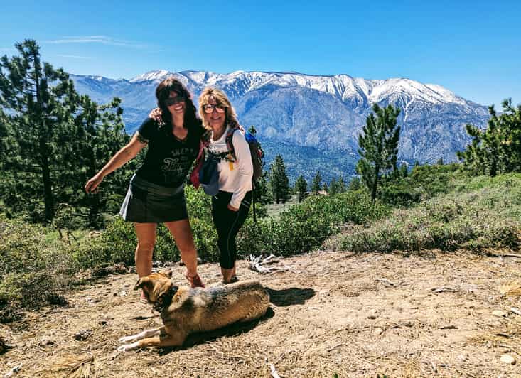 Big Bear: Family-Friendly Nature Walk w Hot Chocolate - Why This Tour Is a Great Choice