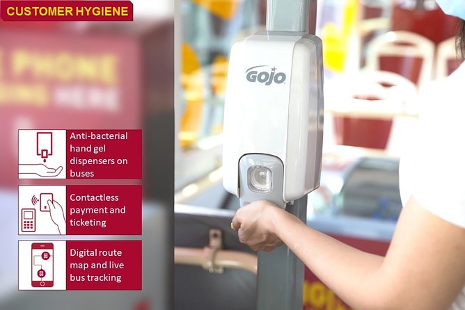 Big Bus San Francisco: Guided Muir Woods Tour - Scenic Return Through Marin Headlands