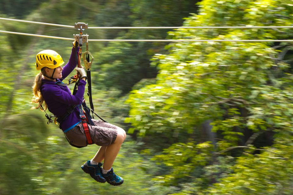 Big Island: Full-Day Kohala Zipline and Waterfall Adventure - An In-Depth Look at the Kohala Zipline and Waterfall Tour