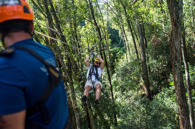 Big Island Kohala Canopy Zipline Adventure - What to Expect from the Kohala Canopy Zipline Adventure