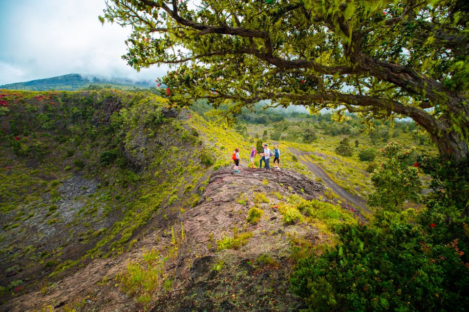 Big Island: Off the Beaten Path Volcano Crater Hike - Final Thoughts