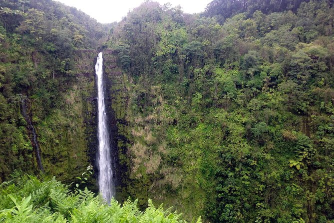 Big Island Volcano Adventure from Kona: Small Group - Authentic Experiences and Review Highlights