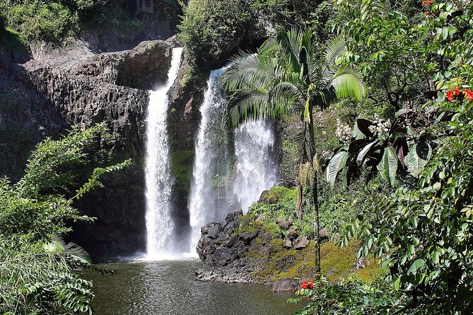 Big Island Waterfall Swim and Hike with Hilo Cruise Ship Pickup