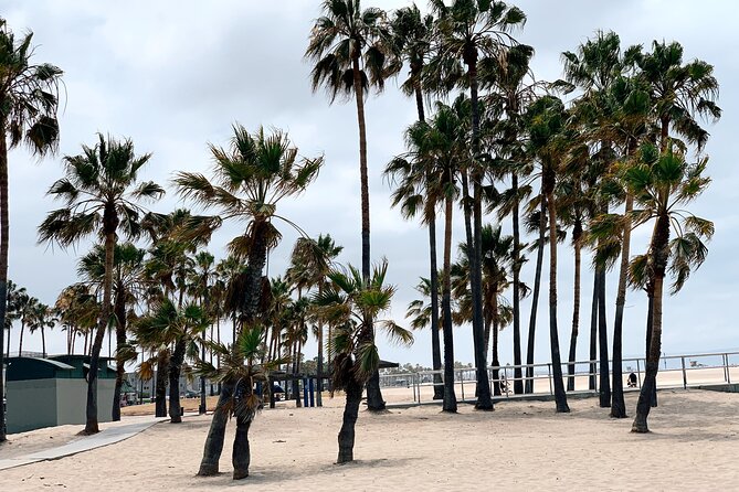 Bike Adventure Tour in Beverly Hills, Santa Monica and Venice - Who Should Consider This Tour?