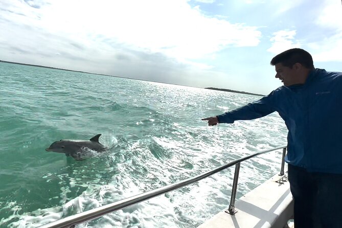 Boat & Yacht Tour Amazing Sandbar Adventure, Water Toys & Snorkel - Informed by Reviews: Authentic Insights