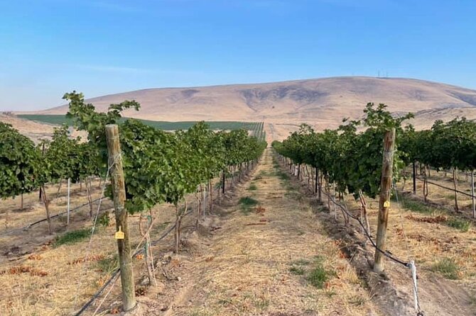 Bodacious Bordeaux Wine Tasting Pass in Woodinville - An In-Depth Look at the Bordeaux Wine Tasting Pass