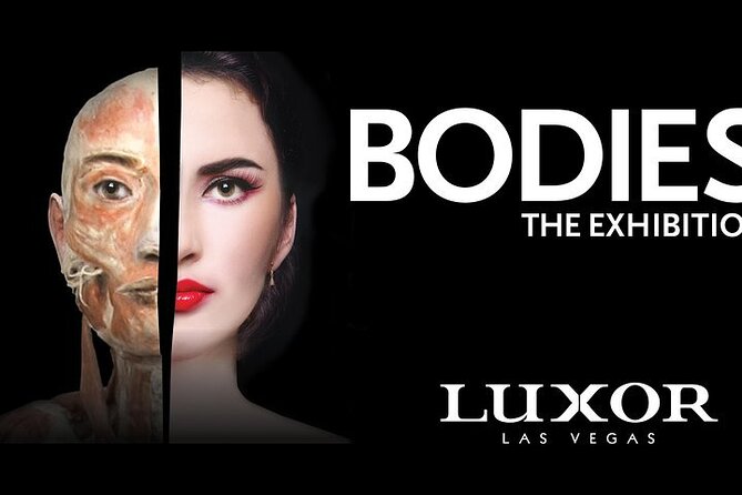 Bodies The Exhibition at the Luxor Hotel and Casino - The Journey Through the Exhibit: What to Expect