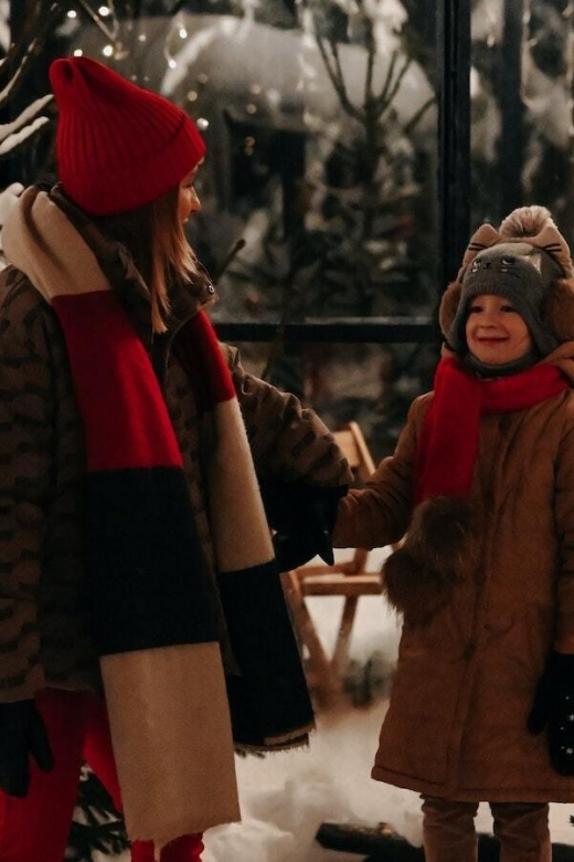 Boston: A Bostonian Christmas Tour