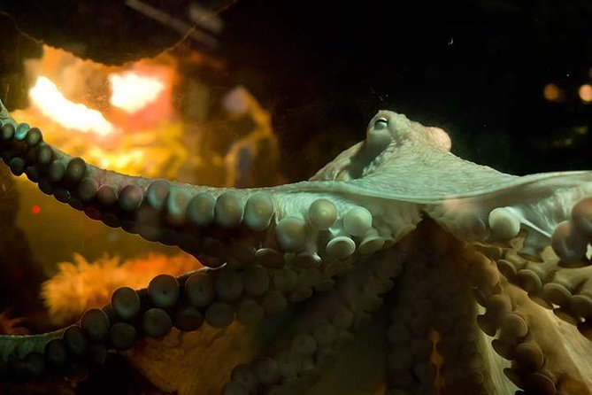 Boston CityPASS® - What Do Travelers Say?