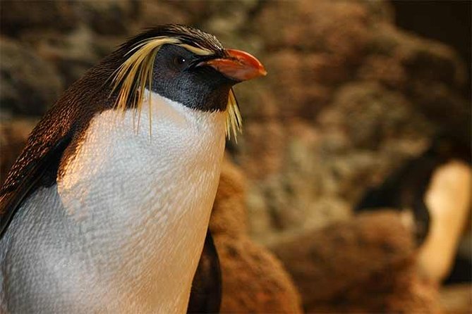 Boston CityPASS® - Final Thoughts