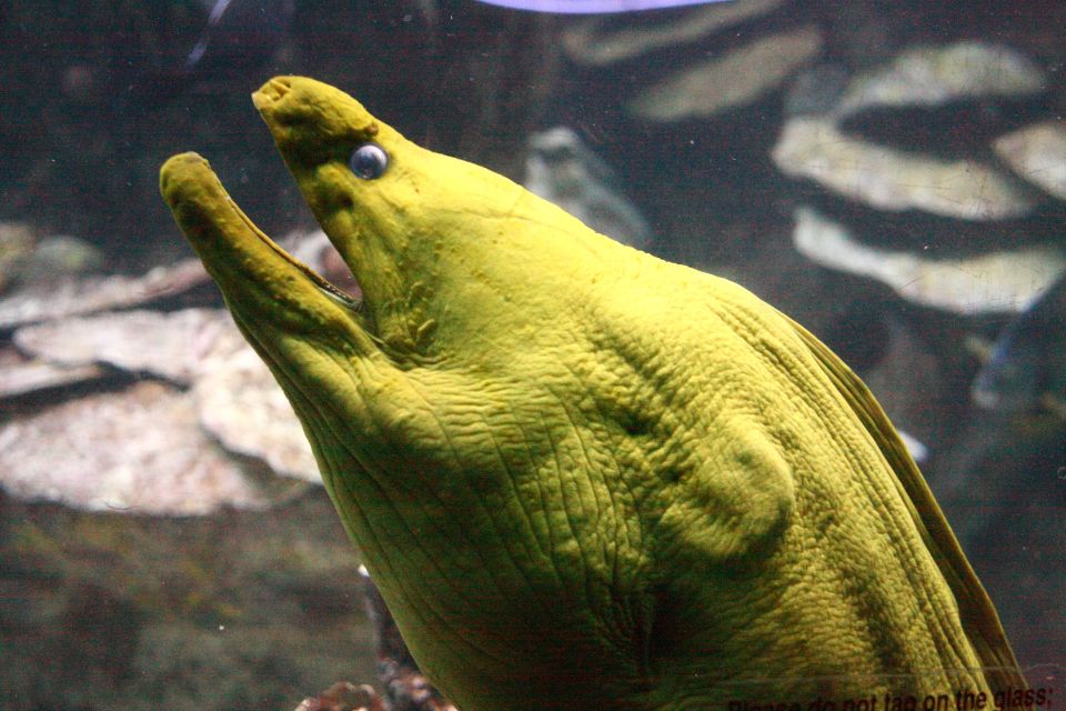 Boston CityPASS®: Save up to 46% at 4 Top Attractions - Authentic Experiences and Insights from Reviewers