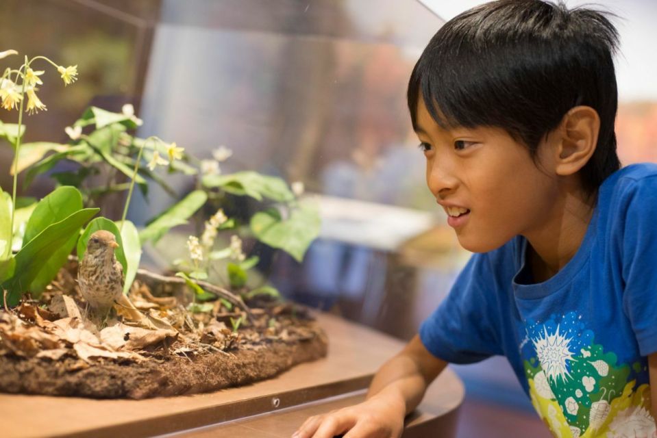 Boston CityPASS®: Save up to 46% at 4 Top Attractions - Who Is This Tour Best For?