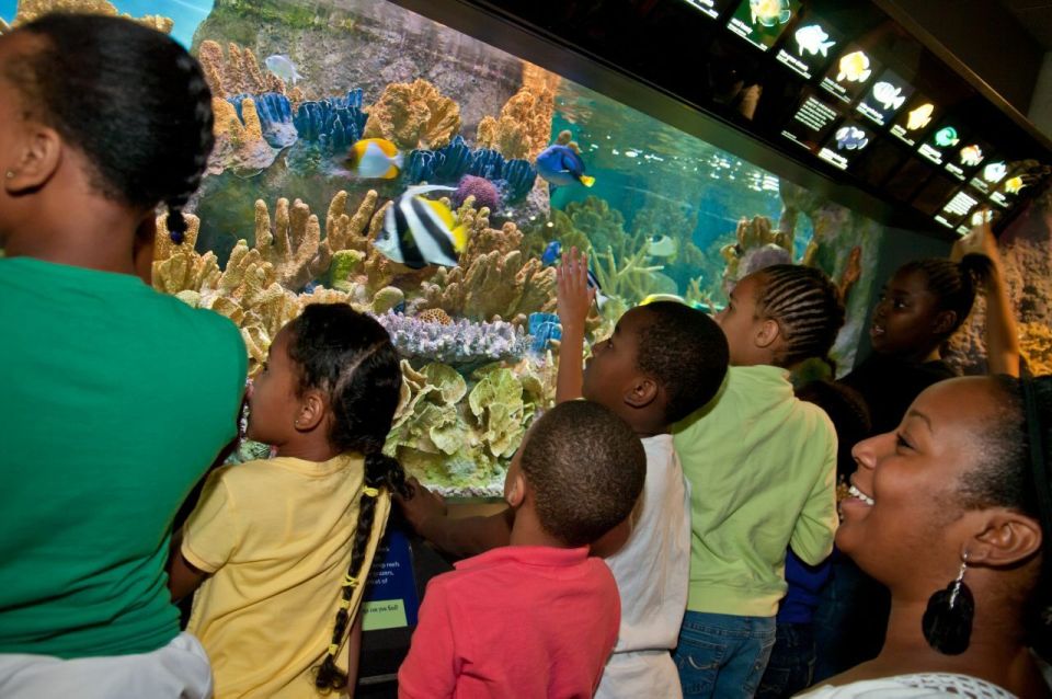 Boston CityPASS®: Save up to 46% at 4 Top Attractions - The Sum Up: Is It Worth It?