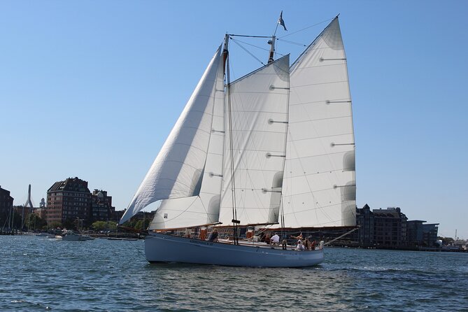 Boston Harbor Sunset Sail Tour - Authentic Insights from Reviewers