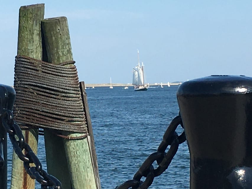 Boston: Tall Ship Harbor Sail with Weekend Brunch Option - Who Should Book This Tour?