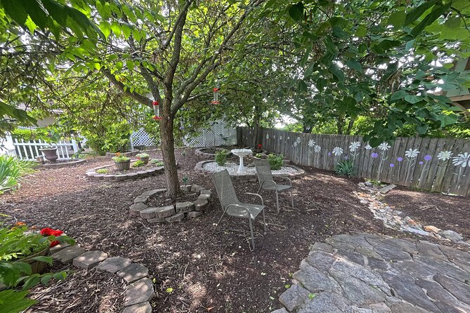 Branson Cart Adventures - Key Points