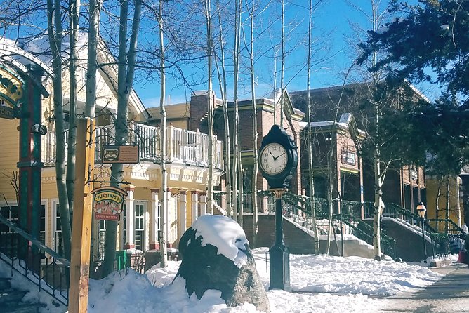 Breckenridge Ultimate Full Day Mountain Tour from Denver - Who Should Book This Tour?