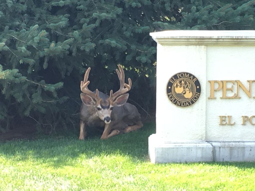 Broadmoor Hotel History Segway Tour - Why Choose the Broadmoor Hotel History Segway Tour?
