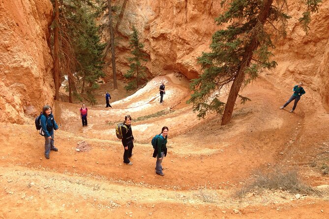 Bryce Canyon and Zion National Park Tour - Who Will Love This Tour?