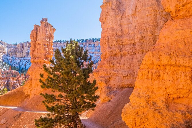 Bryce Canyon and Zion National Park Tour - Final Thoughts