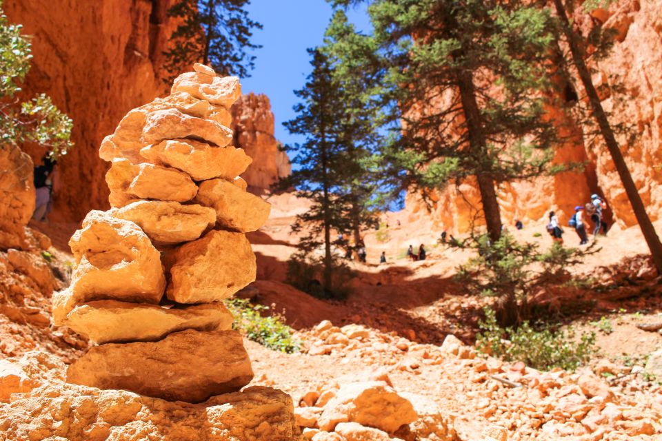 Bryce Canyon & Zion National Park: Private Group Tour - Transportation, Timing, and Group Size