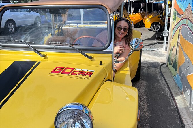 California Dreaming San Diego Beaches GoCar Buggy Tour - The Experience: What Travelers Can Expect