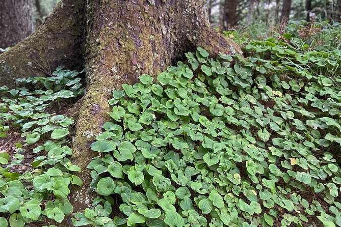 Cannon Beach Hiking Tour on the Oregon Coast - Final Thoughts