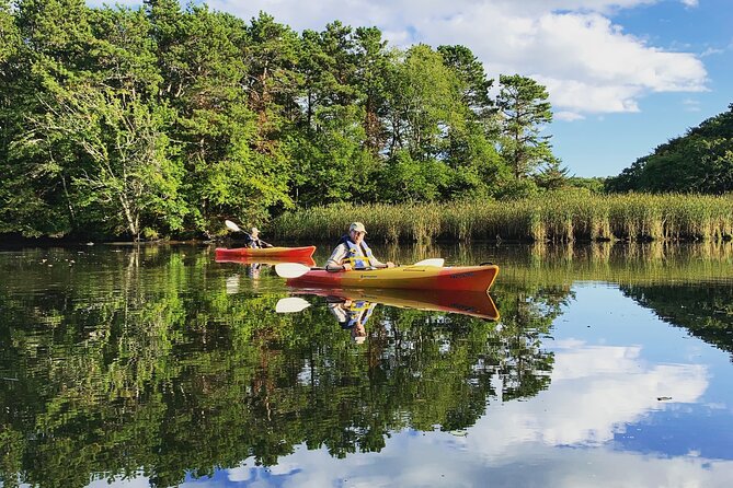 Cape Cod Kayak Rentals in the Great Marsh