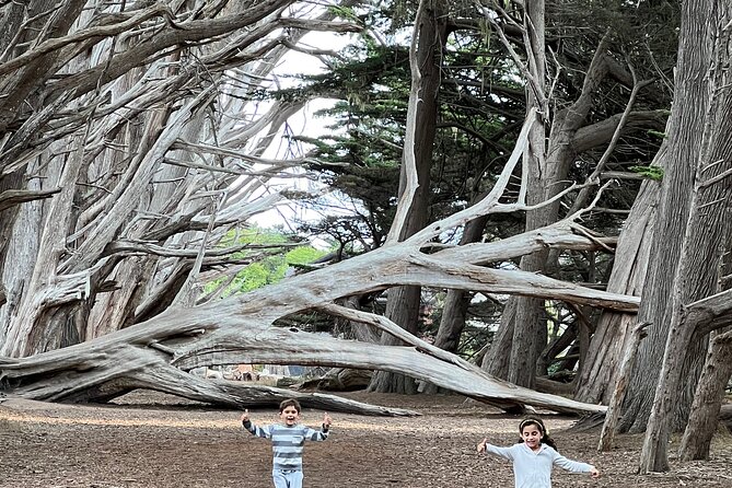 Carmel, Monterey and Big Sur Tour Private Tour from San Francisco - FAQs