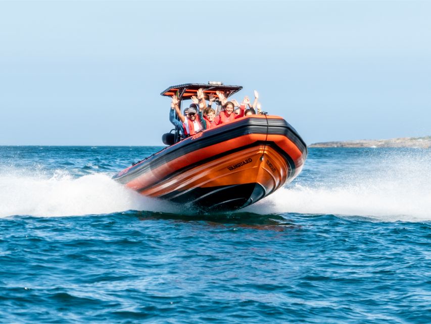 Cascais: Dolphin Watching Tour - What to Expect from the Dolphin Watching Experience