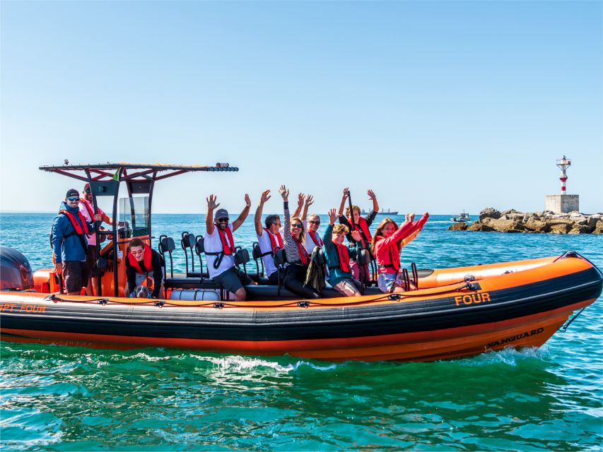 Cascais: Dolphin Watching Tour - Who Will Love This Tour?