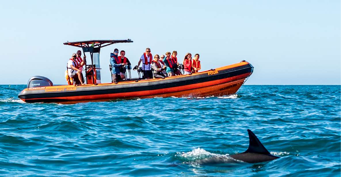 Cascais: Dolphin Watching Tour - Frequently Asked Questions