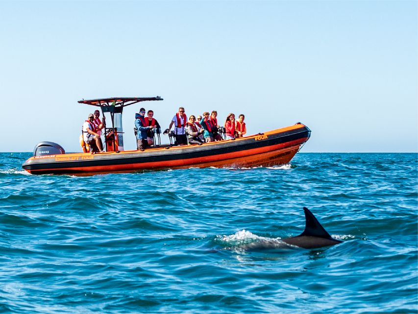 Cascais: Dolphin Watching Tour - Final Words