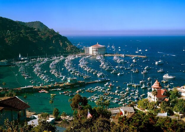 Catalina Island w/Discover Avalon Scenic Tour & Hotel transfers - Exploring the Catalina Island w/Discover Avalon Scenic Tour & Hotel Transfers