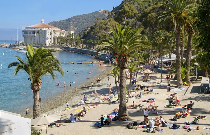 Catalina Island w/Discover Avalon Scenic Tour & Hotel transfers - A Detailed Look at the Experience