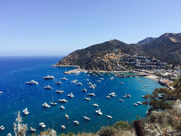 Catalina Island w/Discover Avalon Scenic Tour & Hotel transfers - What Makes This Tour Stand Out