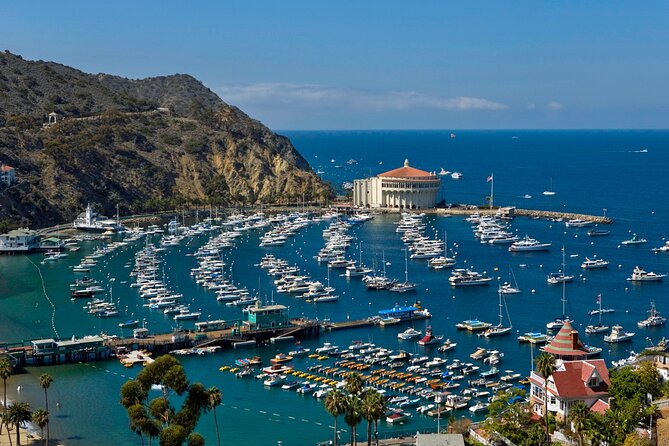 Catalina Island w/Discover Avalon Scenic Tour & Hotel transfers - Authentic Traveler Insights from Reviews