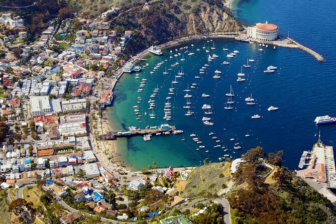 Catalina Island w/Discover Avalon Scenic Tour & Hotel transfers - Practical Tips for Future Travelers