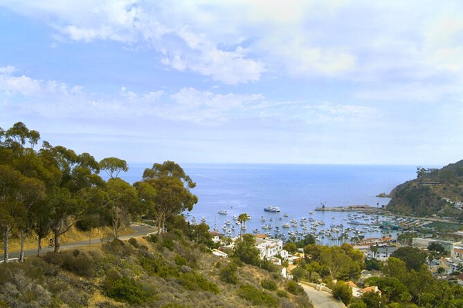 Catalina Island w/Discover Avalon Scenic Tour & Hotel transfers - Final Thoughts