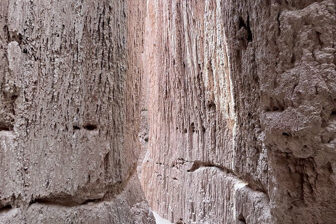 Cathedral Gorge State Park and Area 51 day tour from Las Vegas - Final Thoughts