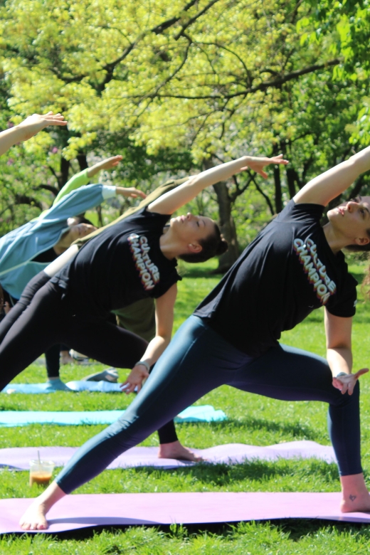 Central Park: Highest Rated Yoga Class in New York City! - Key Points