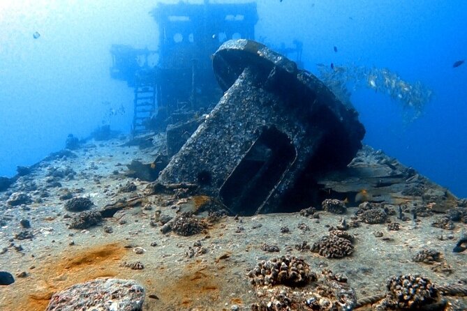 Certified Diver: 2-Tank Deep Wreck and Shallow Reef Dive Off Oahu - An In-Depth Look at the Dive Experience