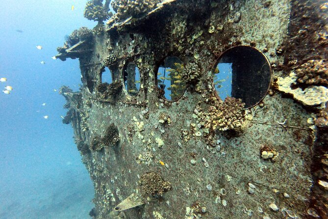 Certified Diver: 2-Tank Deep Wreck and Shallow Reef Dive Off Oahu - Why This Dive Experience Is Worth Considering
