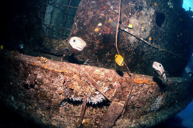 Certified Diver: 2-Tank Deep Wreck and Shallow Reef Dive Off Oahu - FAQ