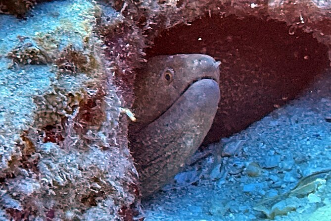 Certified Diver: 2-Tank Night Dive - The Itinerary: What to Expect