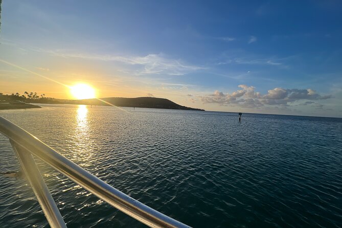 Certified Scuba Diving Experience in Honolulu - An In-Depth Look at the Experience