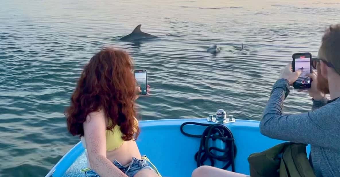 Charleston: Morris Island Dolphin Cruise with Beachcombing - What We Loved and What to Consider