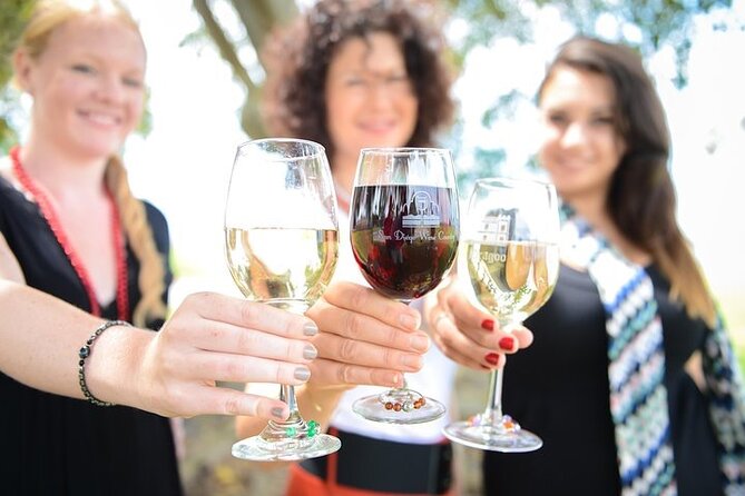 Chauffeured Adventure to Local San Diego Vineyards - The Itinerary Breakdown: What to Expect