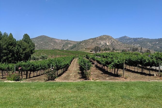 Chauffeured Adventure to Local San Diego Vineyards - Transportation and Logistics